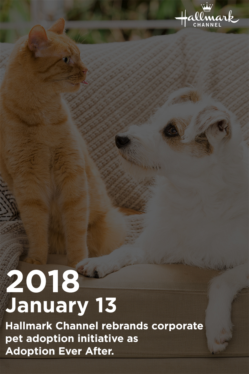 Corporate Hallmark Media